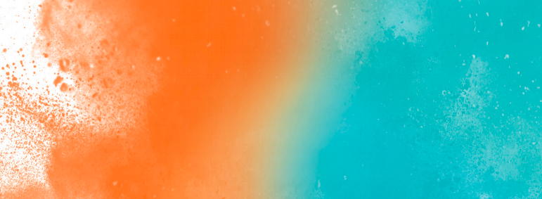 AFL Gender Action Plan – Fiona Self